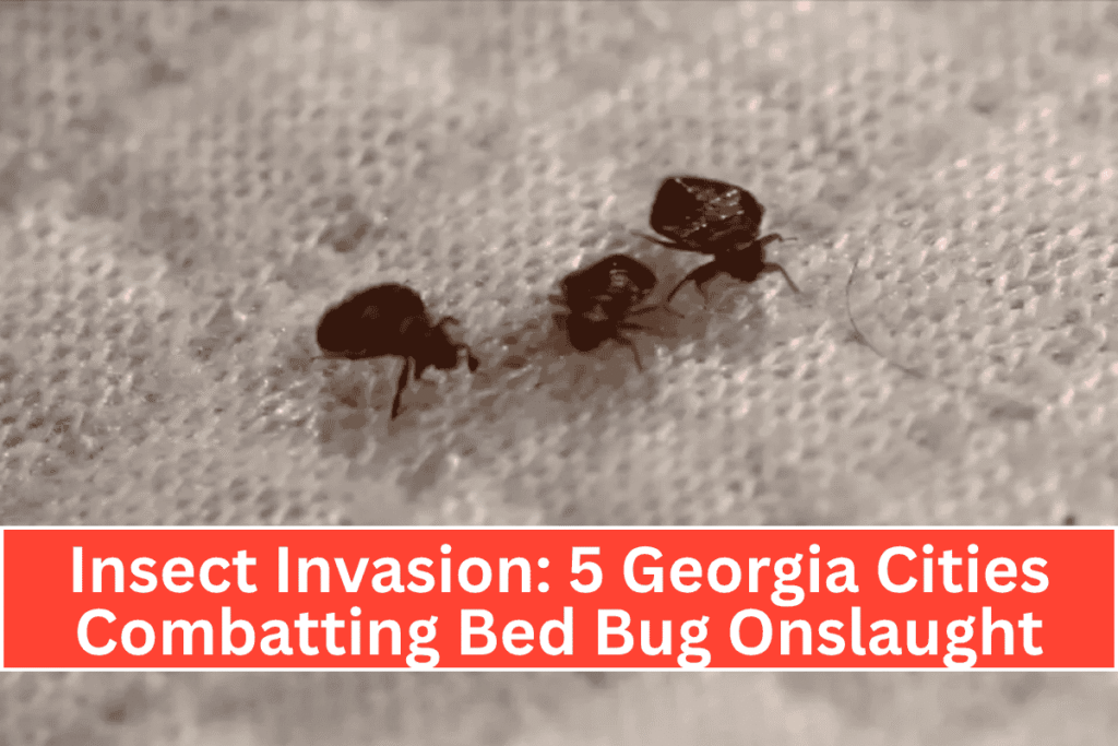 Insect Invasion: 5 Georgia Cities Combatting Bed Bug Onslaught - The ...