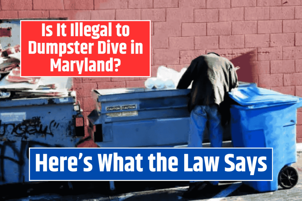 Is It Illegal to Dumpster Dive in Maryland? Here’s What the Law Says ...